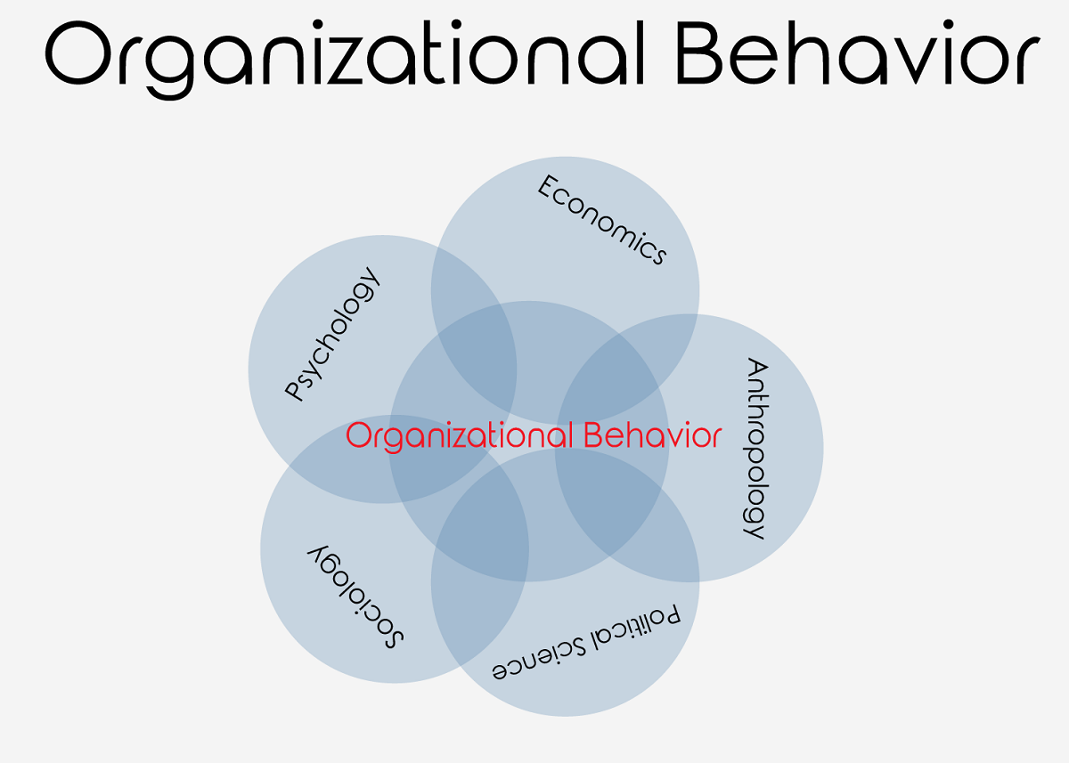 What Is Organizational Behavior and Where Does It Come From?